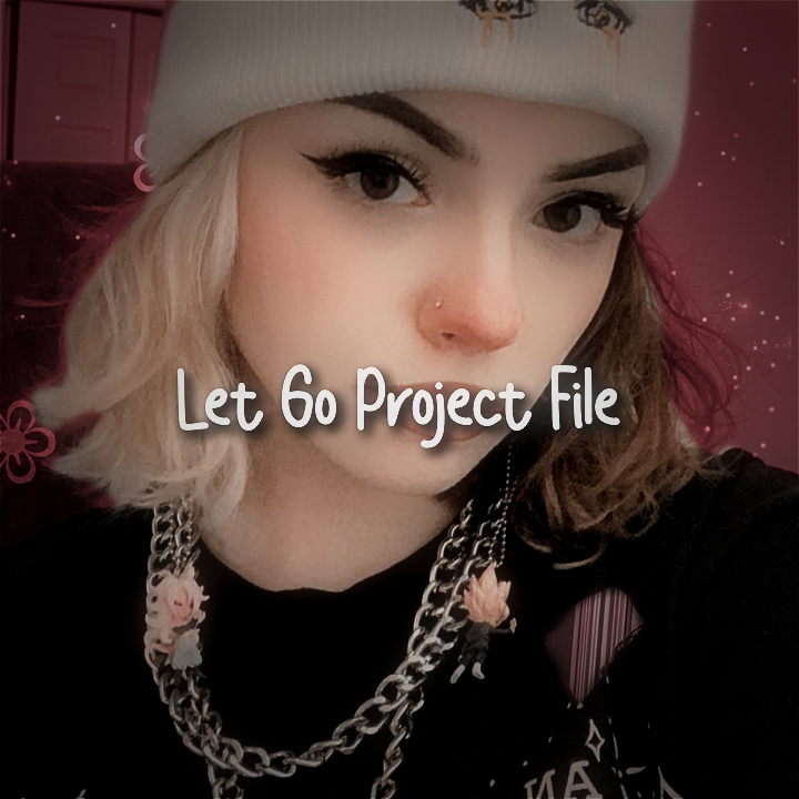 Let Go Project File - Payhip