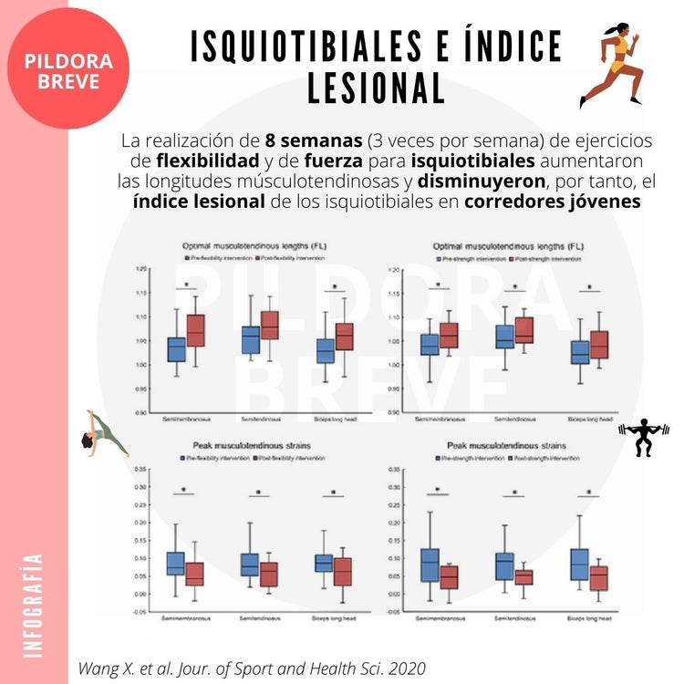 Isquiotibiales; todo lo que deberías saber respecto a su lesión