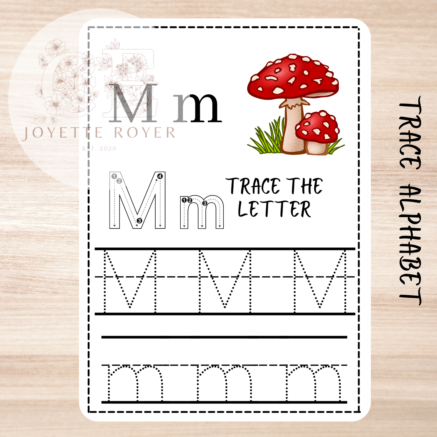 Alphabet Tracing Upper and Lowercase ABC's Workbook -Handwriting ...