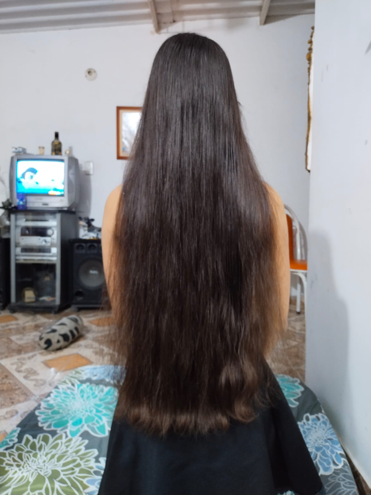 Scissor Shave and Full Shave-Home - Payhip