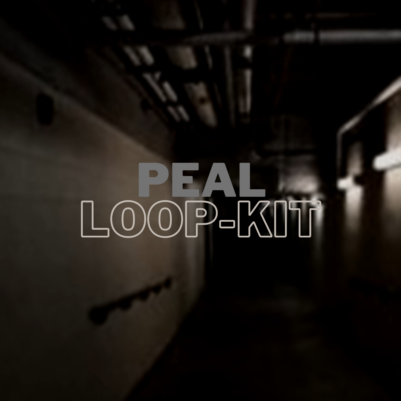Peal Loop-Kit (Nardo Wick, Future) - Payhip