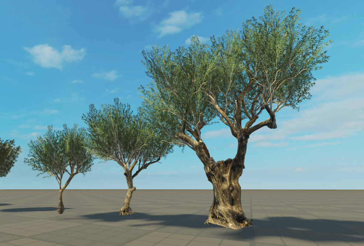 Afghanistan Tree Collection - Payhip