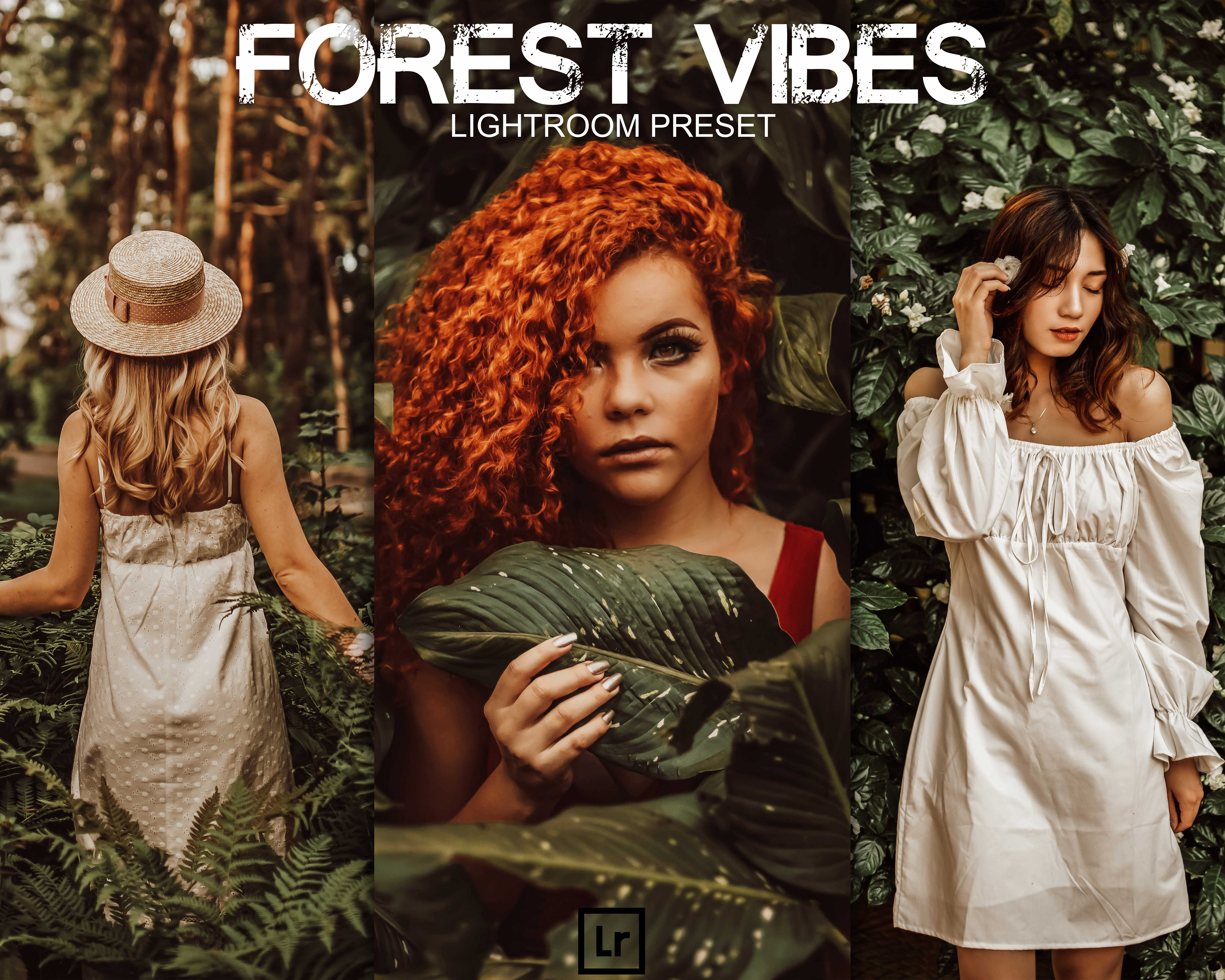 Forest Vibes – 4 Lightroom Presets | Earthy Tones | Warm Tones | Best ...