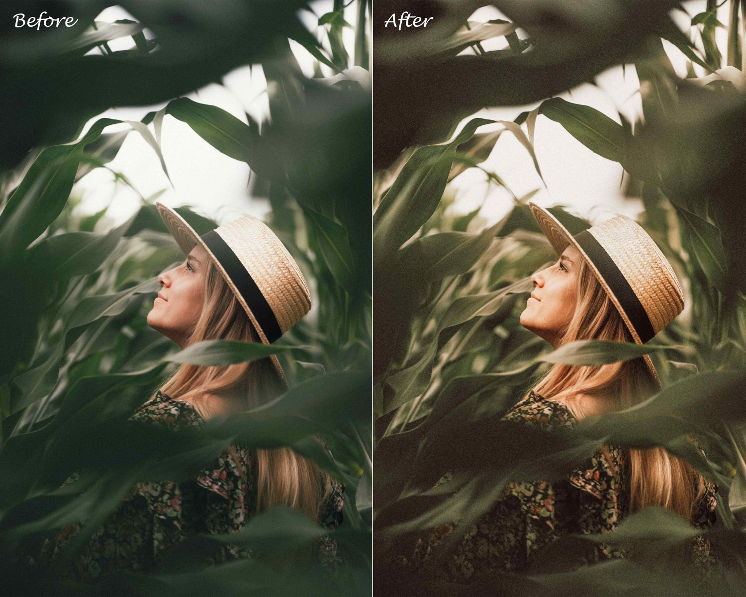 Forest Vibes – 4 Lightroom Presets | Earthy Tones | Warm Tones | Best ...