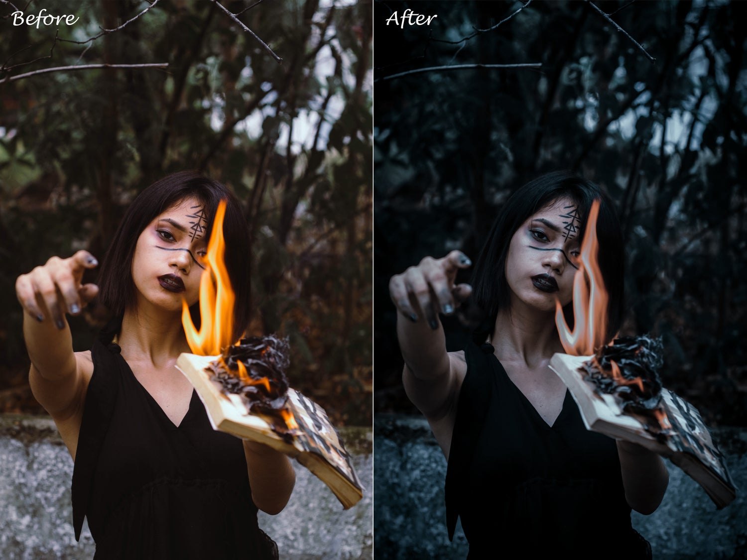 7 HORROR - Lightroom Presets | Halloween Filters | Horror Movies ...