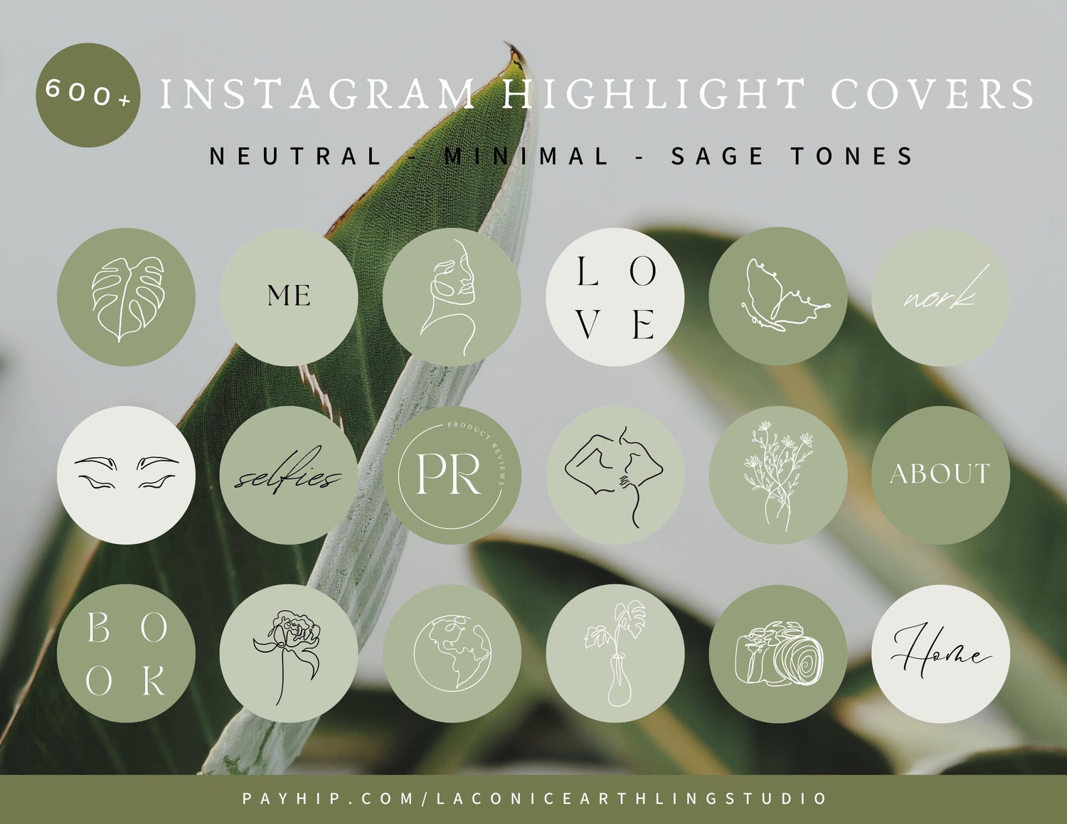 600 Sage Instagram Highlight Covers | Neutral Story Instagram ...