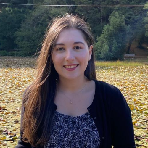 Language Study Organization Bootcamp - Payhip