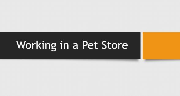 Special Ed Lesson Plans - Payhip