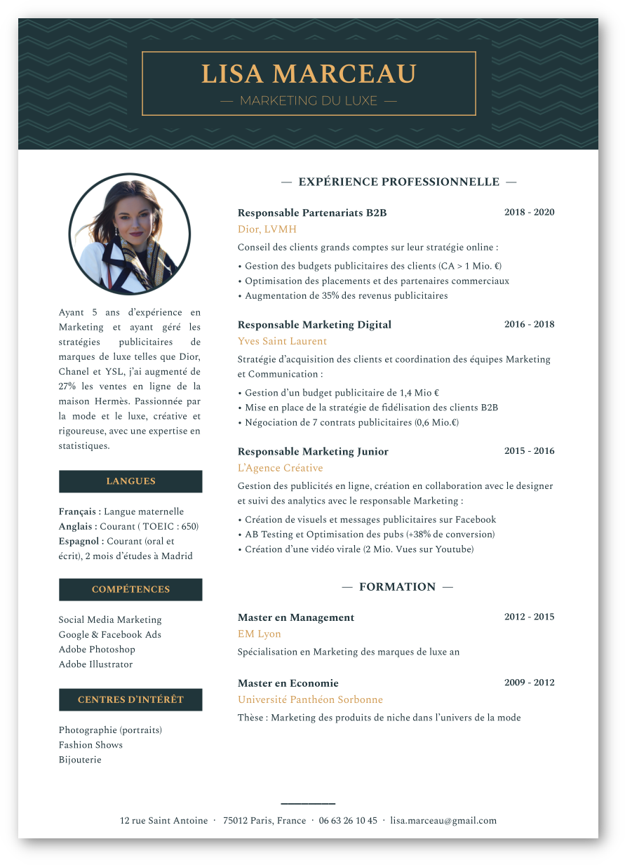 Modèle CV Luxe (Word et Google Docs) - Payhip
