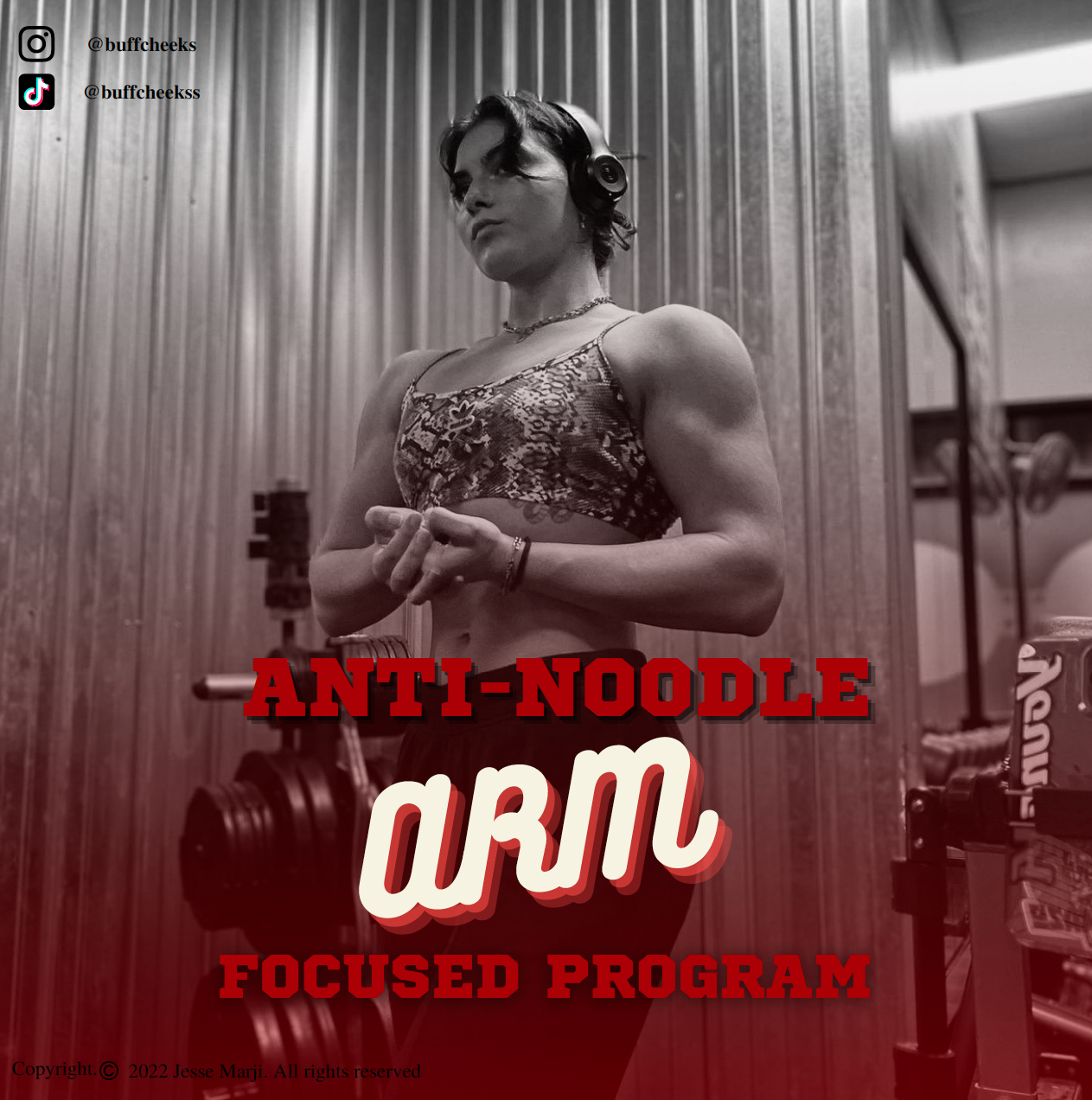 Anti - Noodle Arm Focused Program - Payhip
