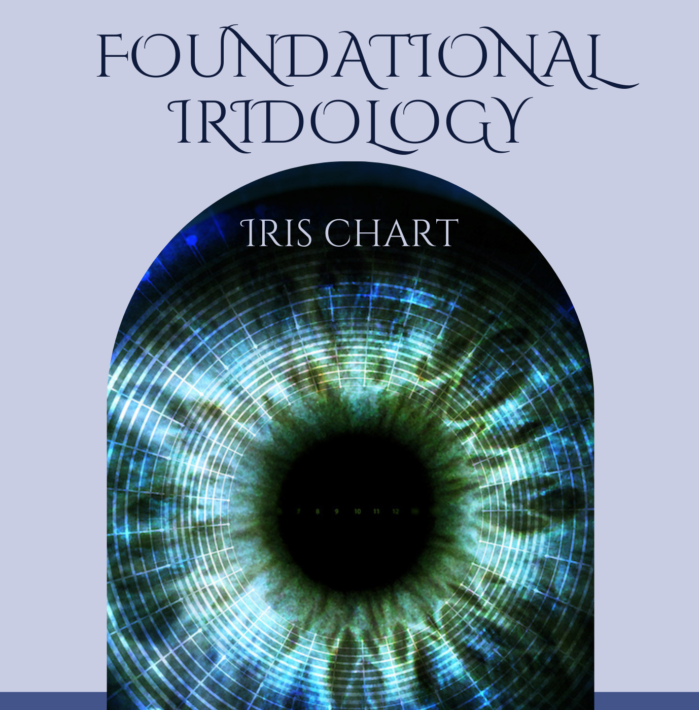 Foundational Iridology Iris Chart - Payhip