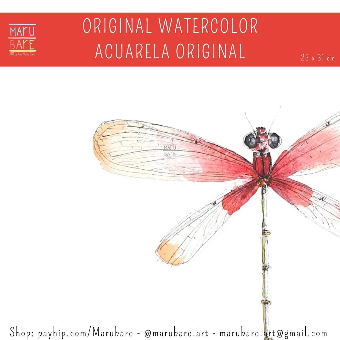 Original watercolor - Red dragonfly - Payhip