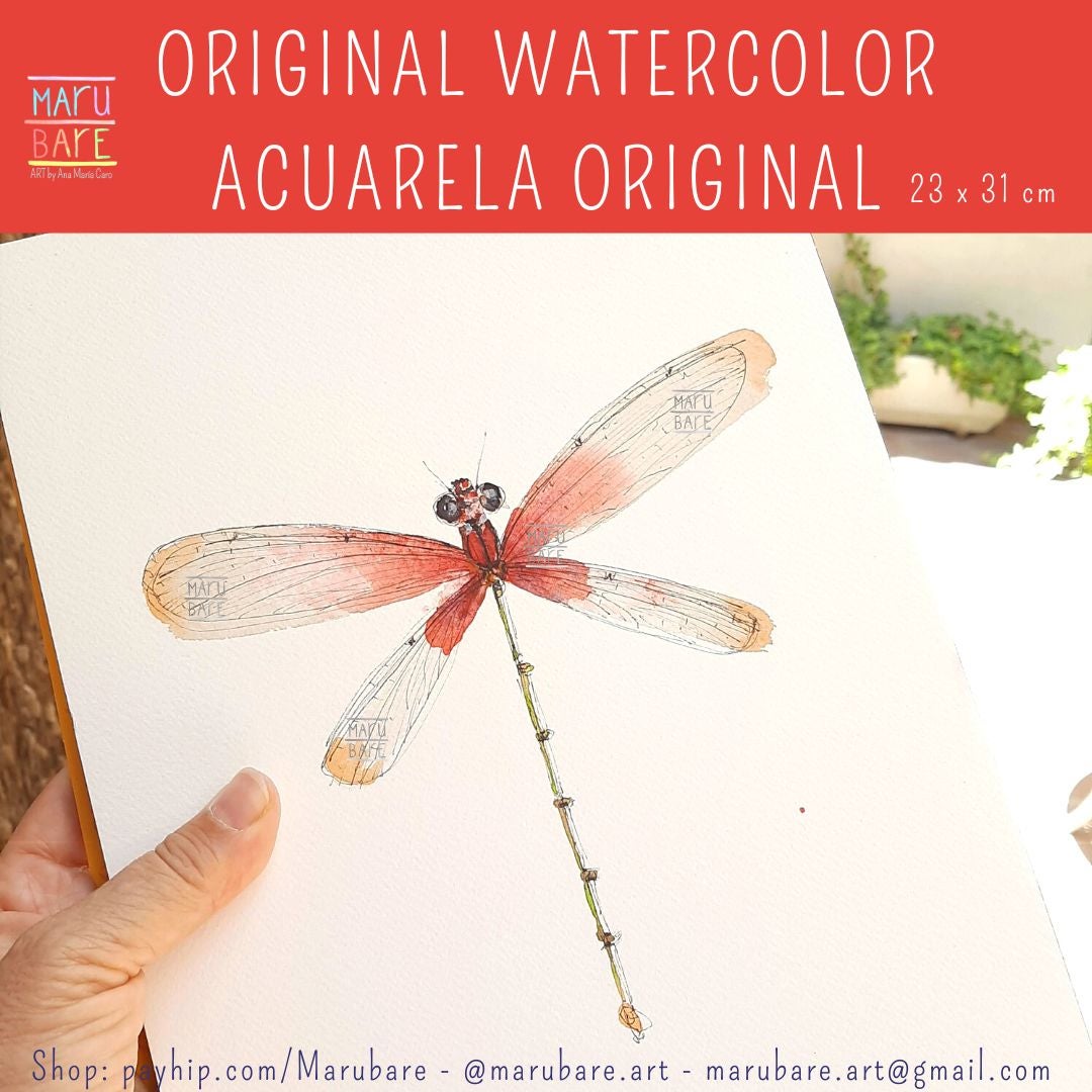 Original watercolor - Red dragonfly - Payhip
