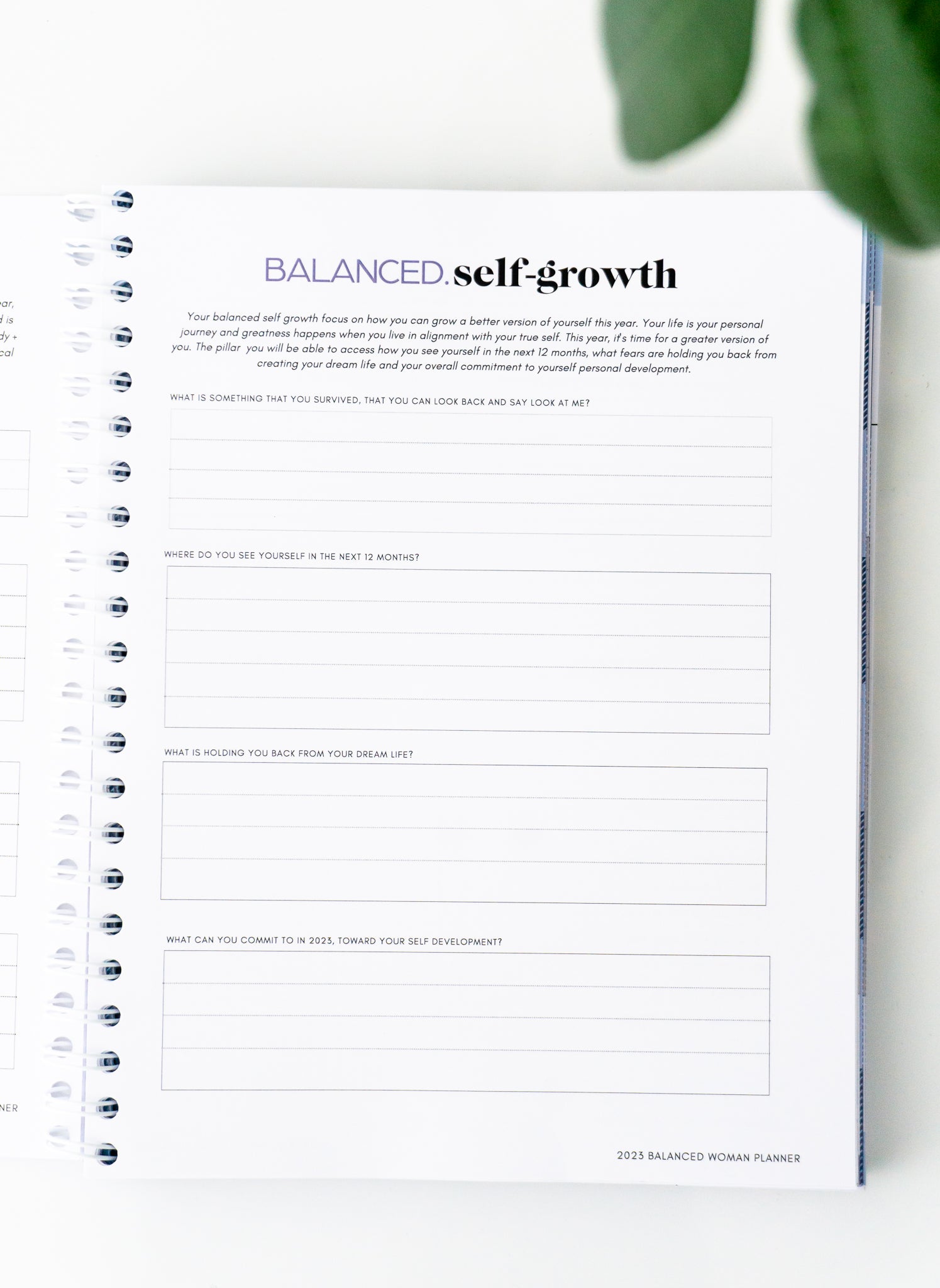 The Balanced Woman Daily Planner- 6 MONTH - Payhip