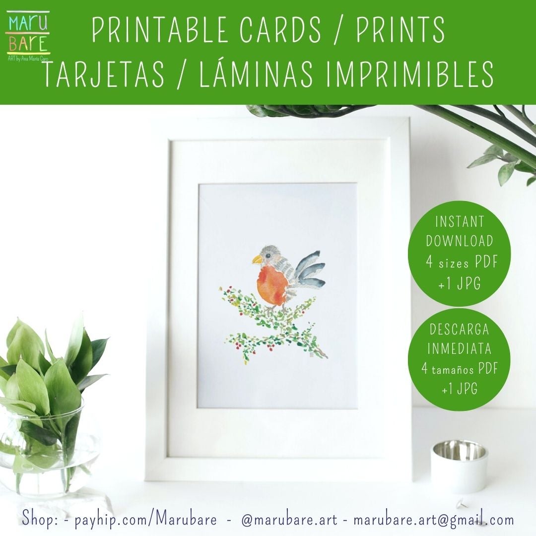 Cute Robin cards/ prints (PDF JPG downloadable files) - Payhip