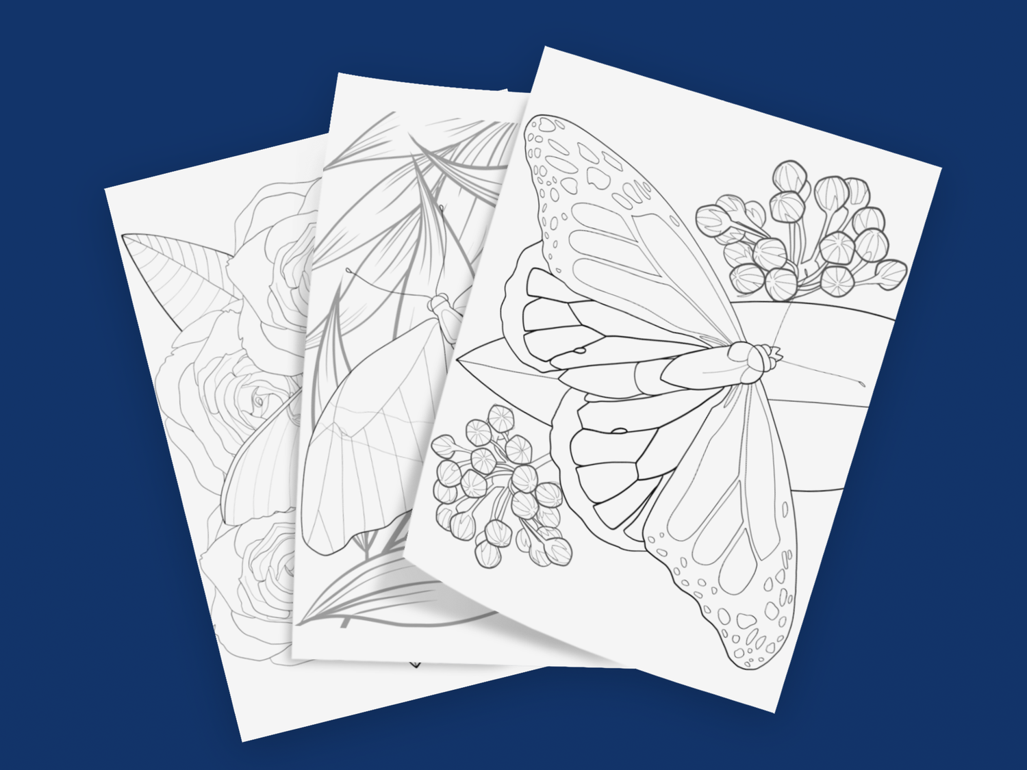 Naturalistic Butterfly Coloring Pages Vol. 1 - Payhip