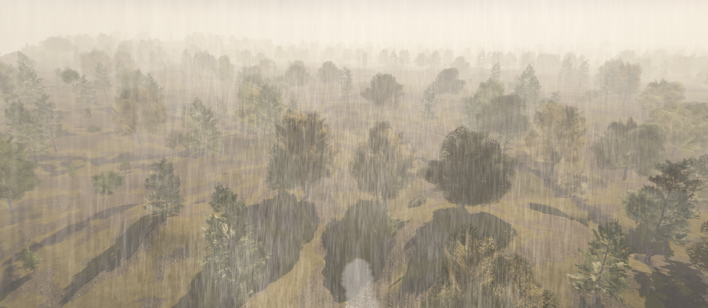 Welsh Celtic Rainforest - Payhip