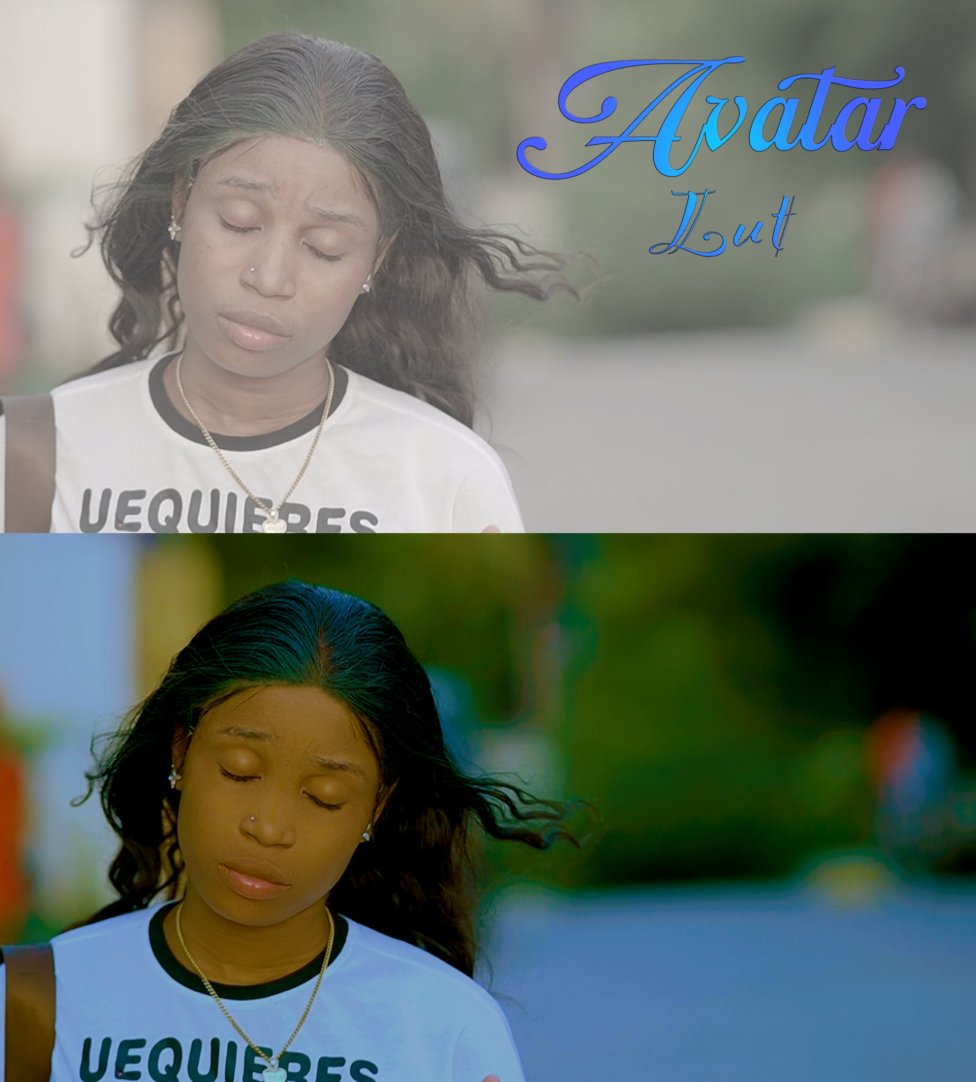 AVATAR LUT DAMOSI MOISE - Payhip