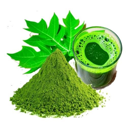 Dried PAPAYA LEAVES POWDER 100g For Immunity Boost(CARICA PAPAYA)Healthy Herbal Tea - Payhip
