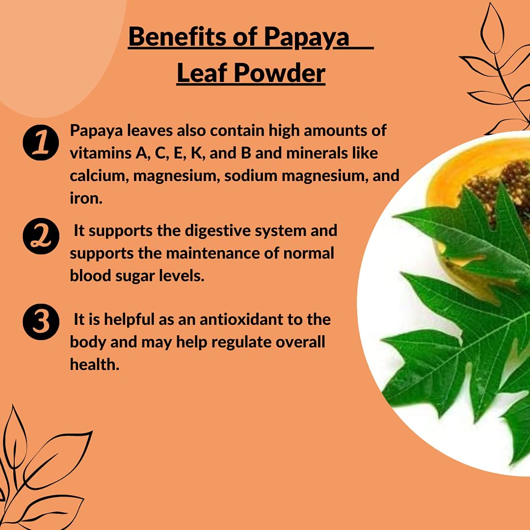 Dried PAPAYA LEAVES POWDER 100g For Immunity Boost(CARICA PAPAYA)Healthy Herbal Tea - Payhip