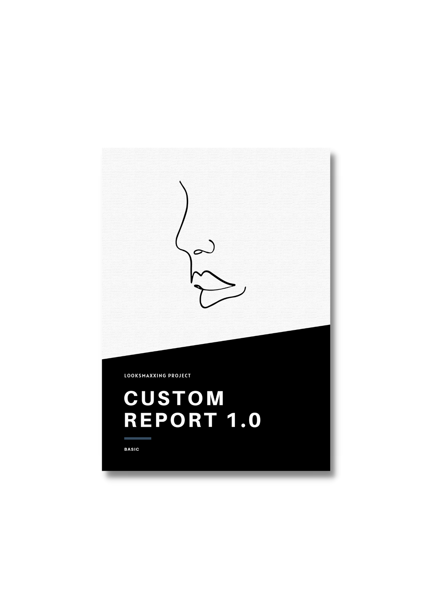 Custom Report 1.0 BASIC - Payhip