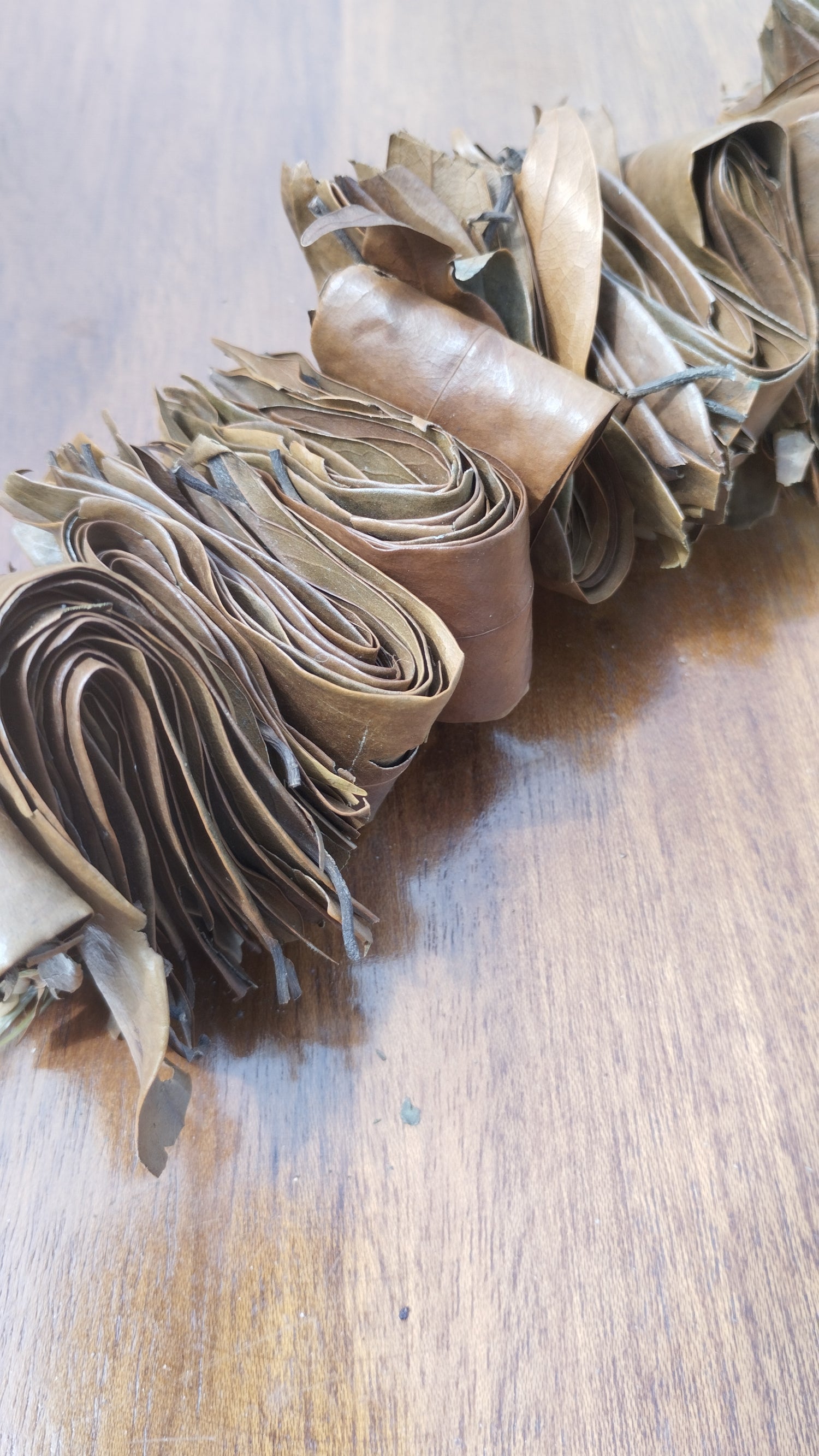 Ishpingo (Ocotea quixos) | Wild Cinnamon Flower - Payhip