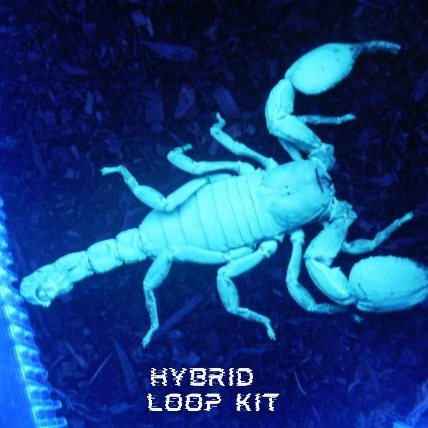 [KIT] Prxject Sin x Super Trap Loop Kit ''Hybrid'' (Super Trap, Prxject Sin, Grim Brxzy) - Payhip