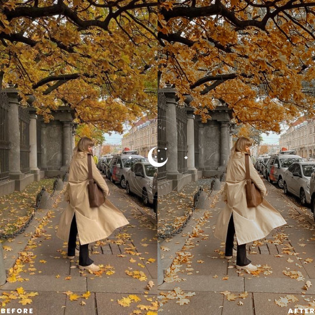 FALL TONES preset - Payhip