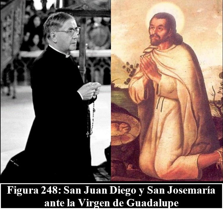 Guadalupe: Milenario Río de Luz - Libro digital - Payhip