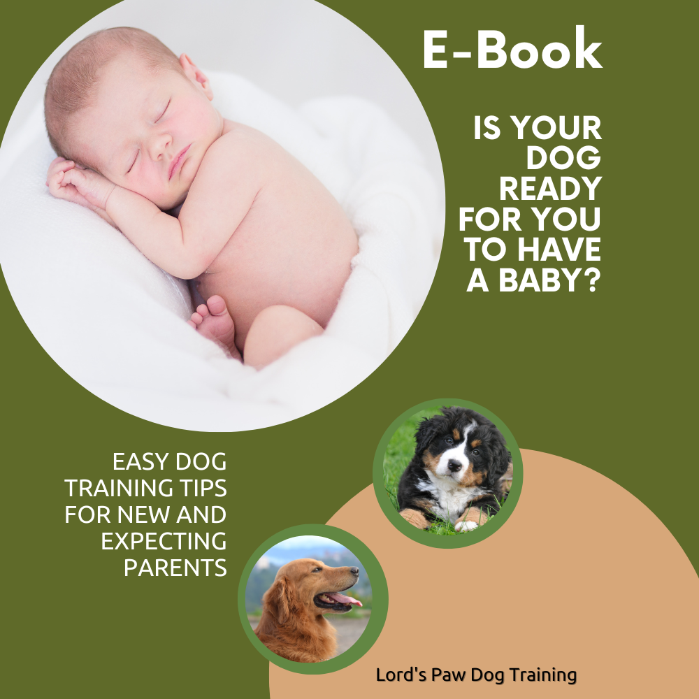 Dog and Baby Book - Payhip