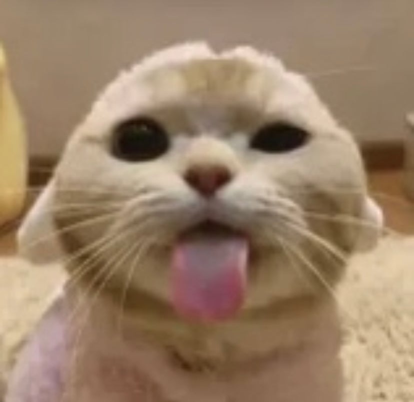 Shake Pack (ALIGHT MOTION) - Payhip