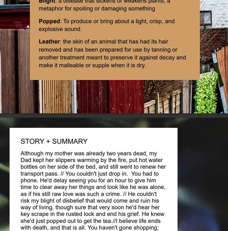 from 'Long Distance II' by Tony Harrison - Poem Analysis - Payhip