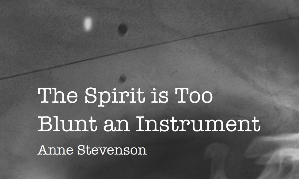 'The Spirit is too Blunt an Instrument' by Anne Stevenson - Poem ...