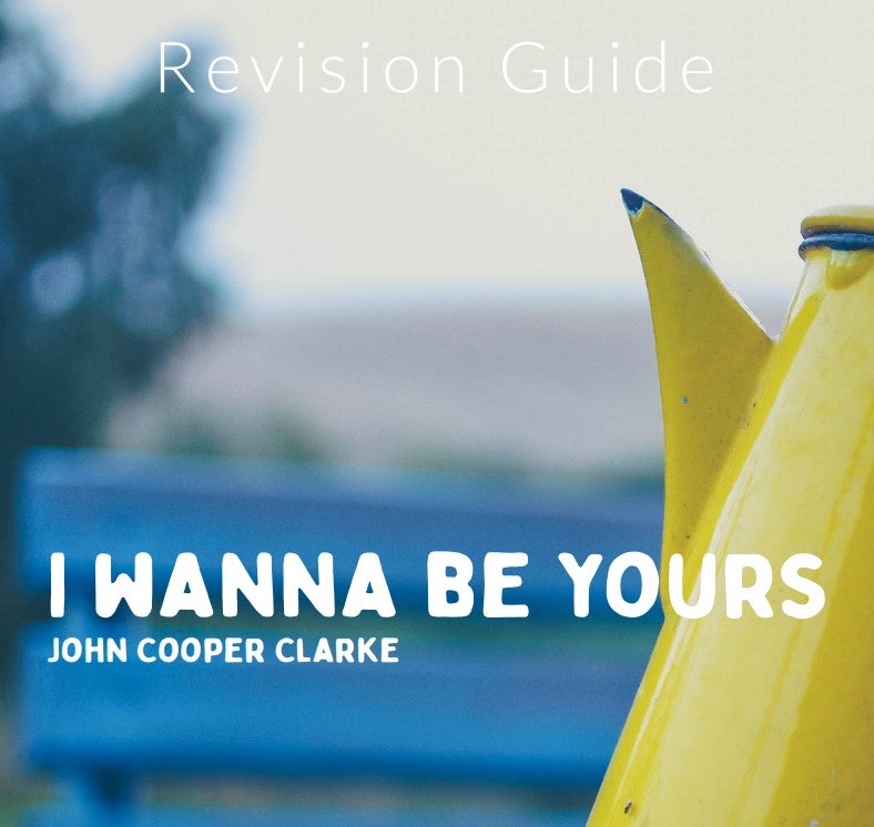 'I wanna be yours' by John Cooper Clarke - Poem Analysis - Payhip