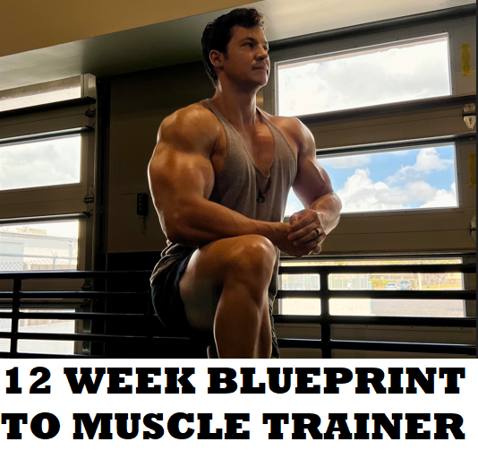 Blueprint to Muscle 12 Week Daily Video Trainer - Payhip