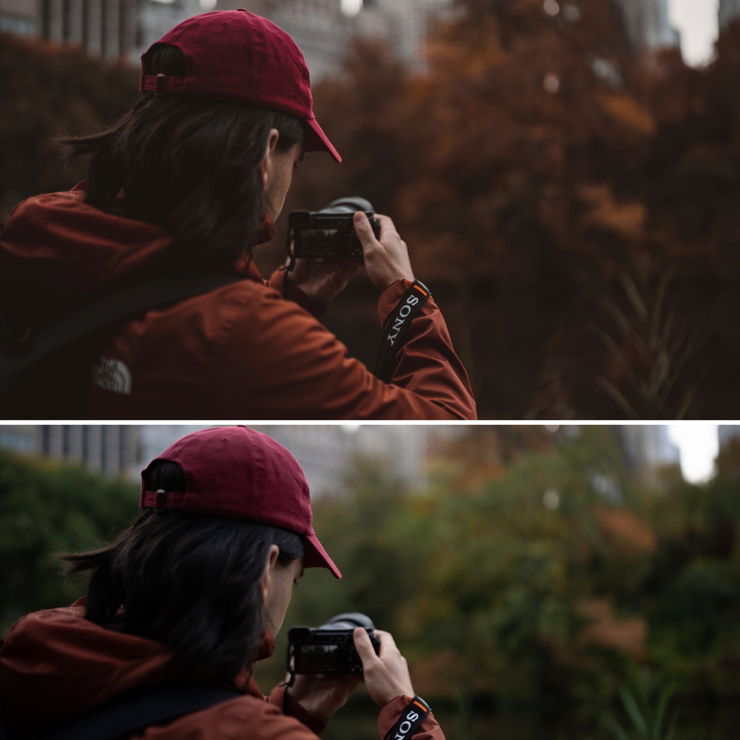 Tone Fuentes - Payhip