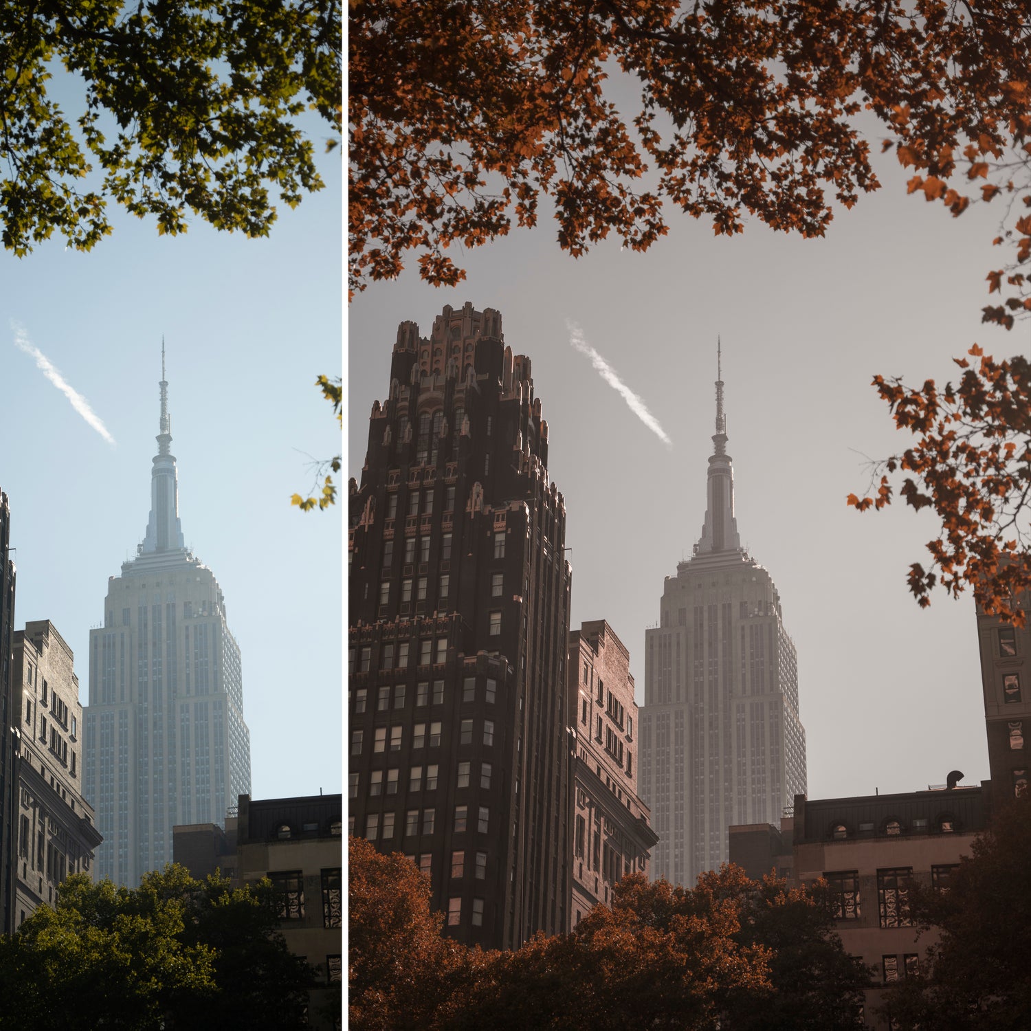 Autumn Premium Preset Pack | 12 Premium Presets - Payhip