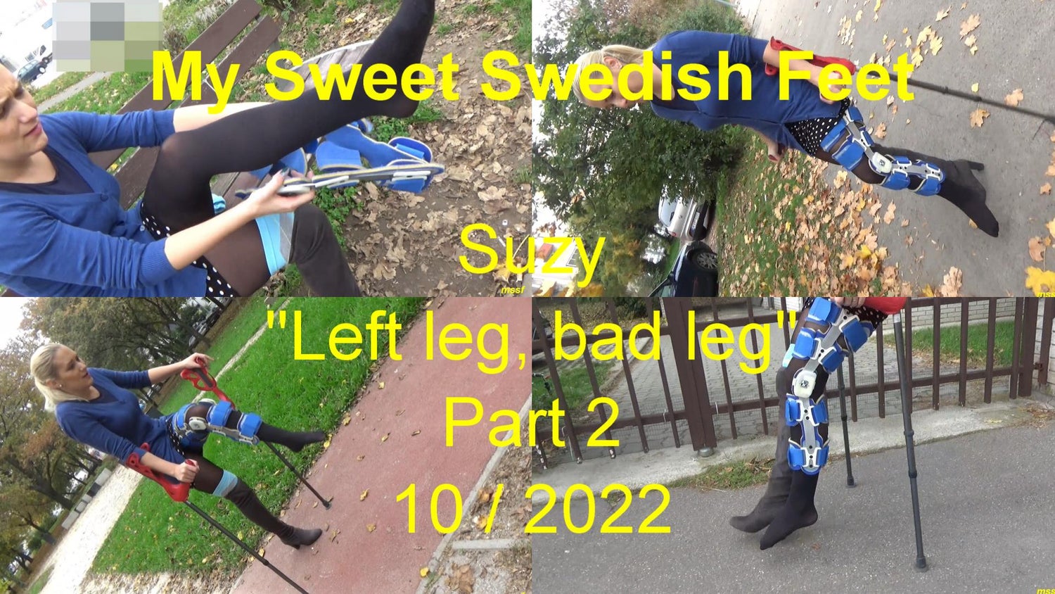 My Sweet Swedish Feet - Payhip