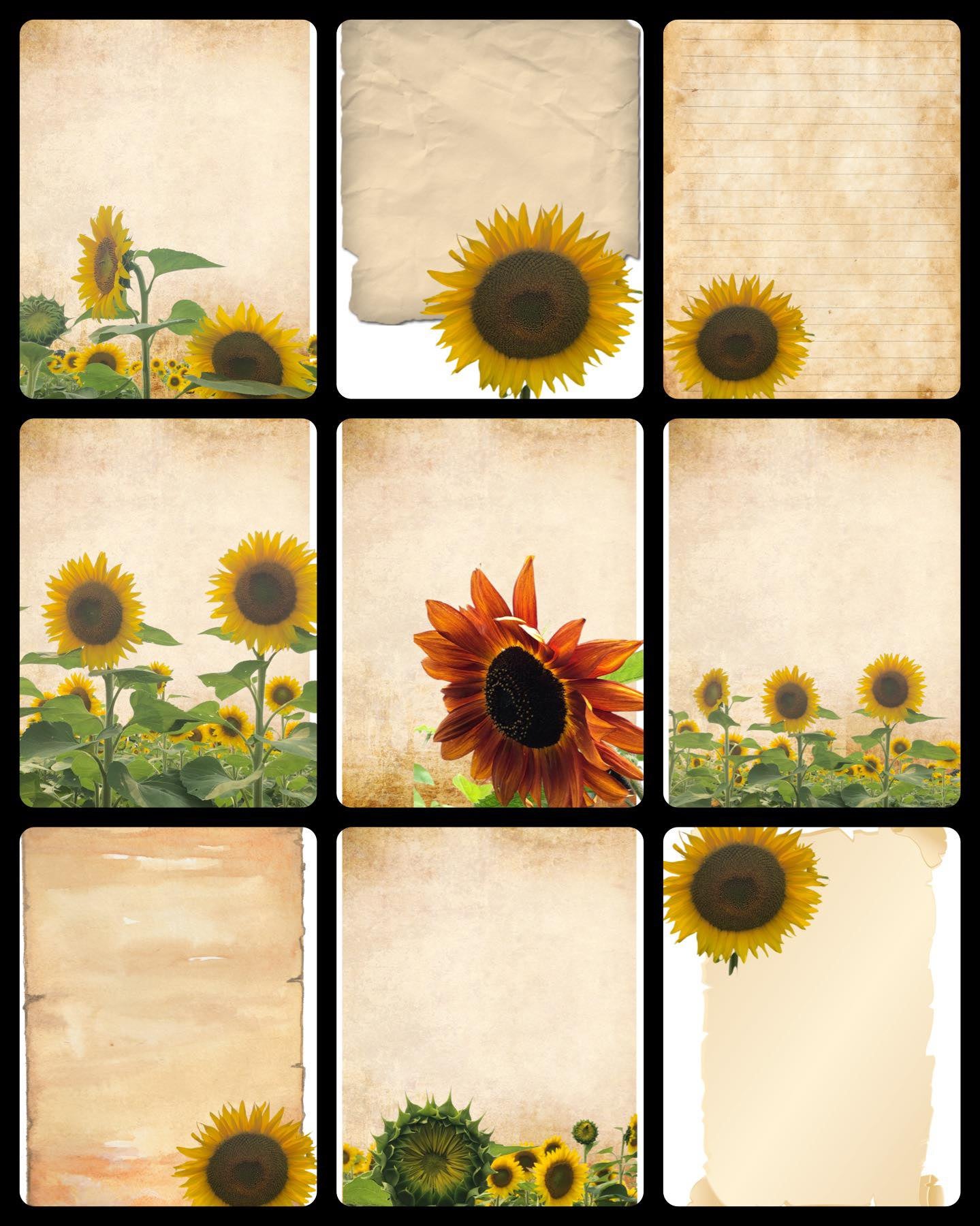 9 Natural Sunflower Journal Pages - Payhip