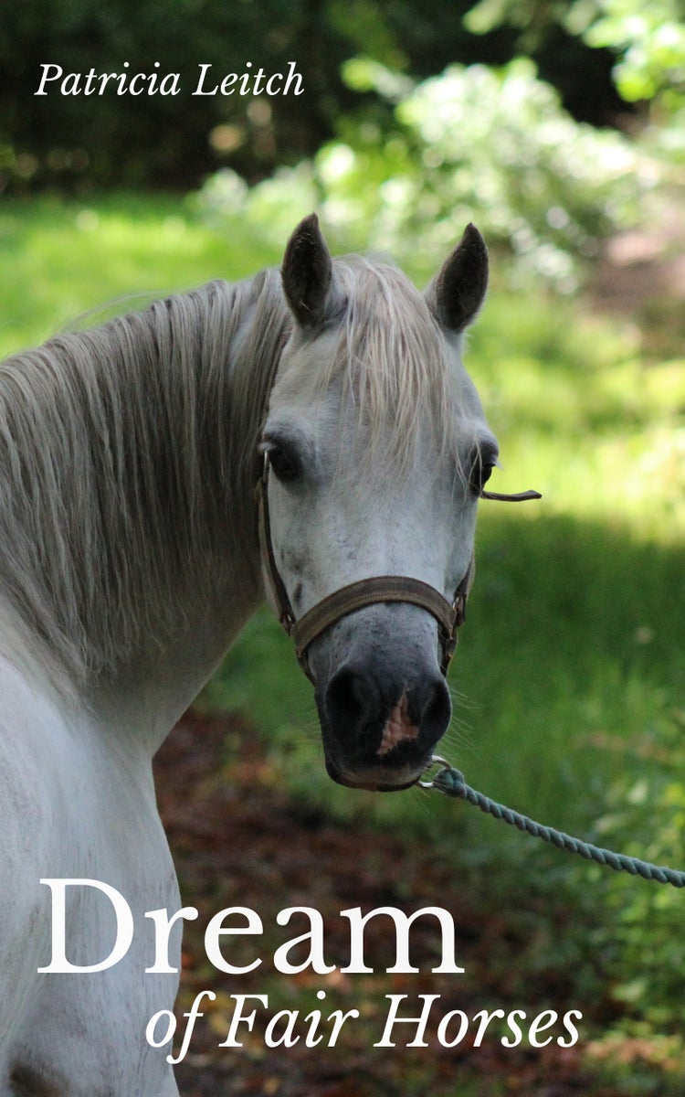 Patricia Leitch: Afraid to Ride - Payhip