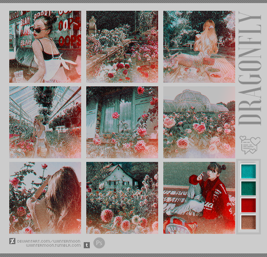 wiintermoon - Payhip