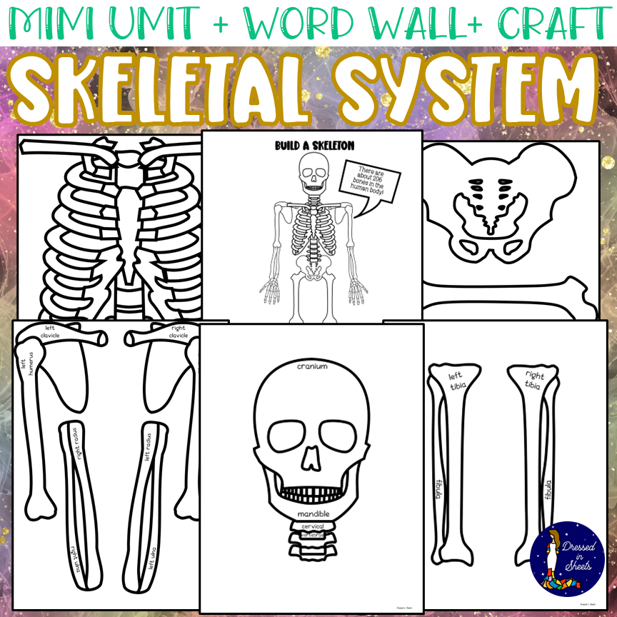 Skeletal System Unit with Word Wall and Craft - Payhip