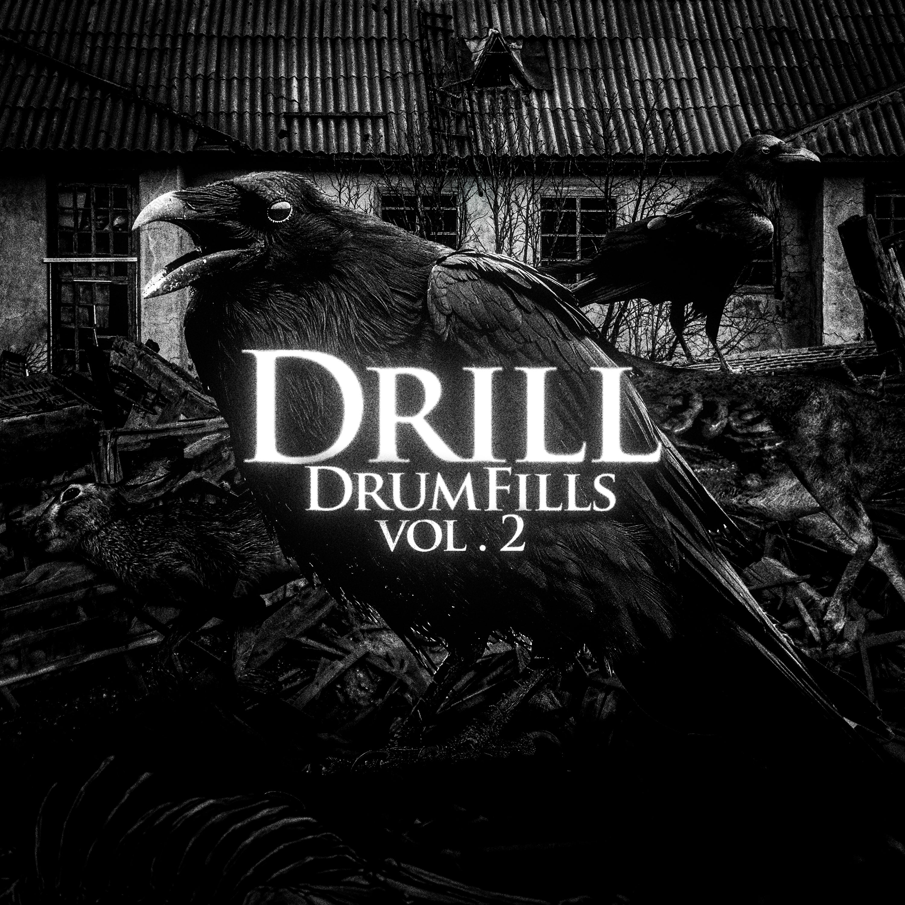 Drill Drum Fills (VOL 2) One Shot Kit - Payhip