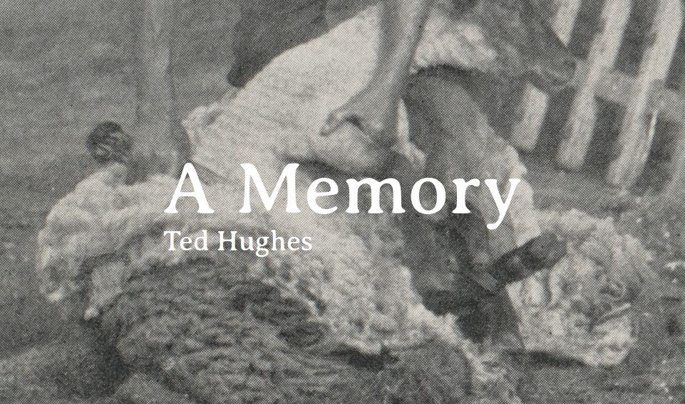 'A Memory' by Ted Hughes - Study Guide - Payhip