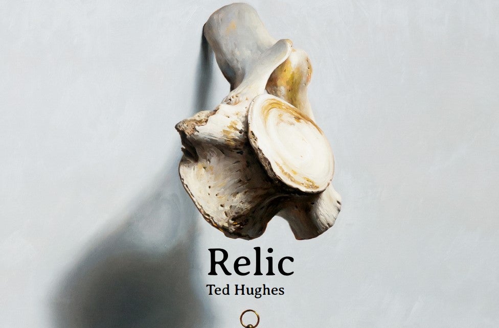 'The Harvest Moon' by Ted Hughes - Study Guide - Payhip