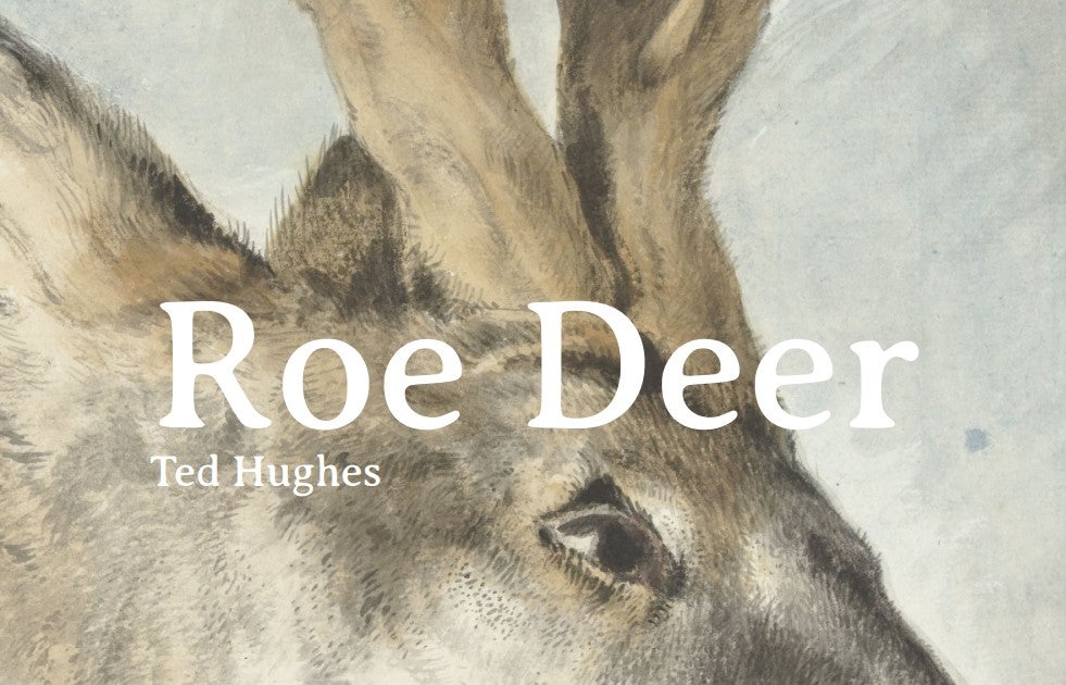 Relic By Ted Hughes Study Guide Payhip Relic By Ted Hughes Study Guide Payhip