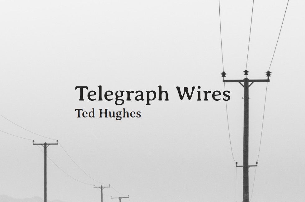 'Telegraph Wires' by Ted Hughes - Study Guide - Payhip