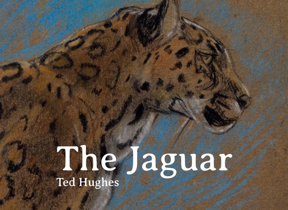 'Football at Slack' by Ted Hughes - Study Guide - Payhip