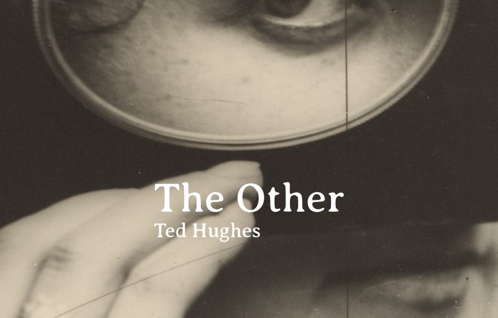 'The Harvest Moon' by Ted Hughes - Study Guide - Payhip