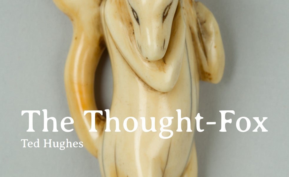 'The Thought-Fox' by Ted Hughes - Study Guide - Payhip
